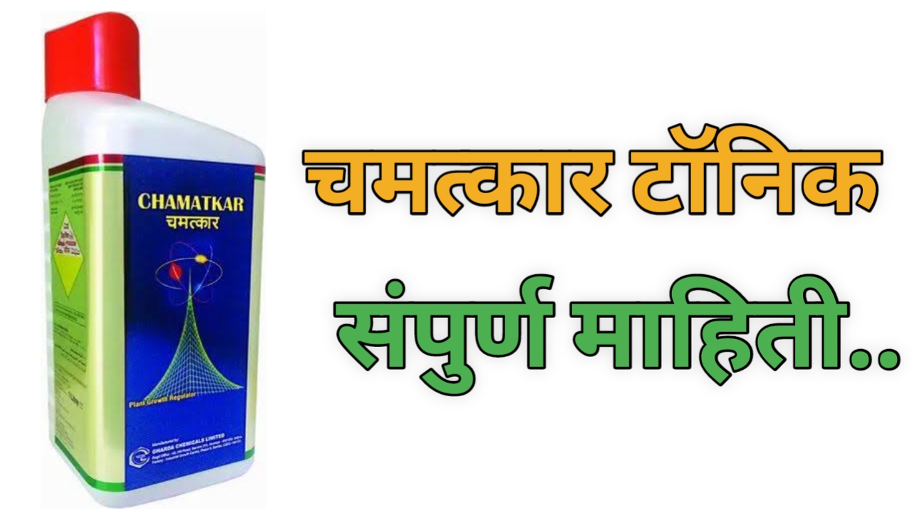 Chamatkar Tonic mahiti? चमत्कार टॉनिक फायदे संपूर्ण माहिती?